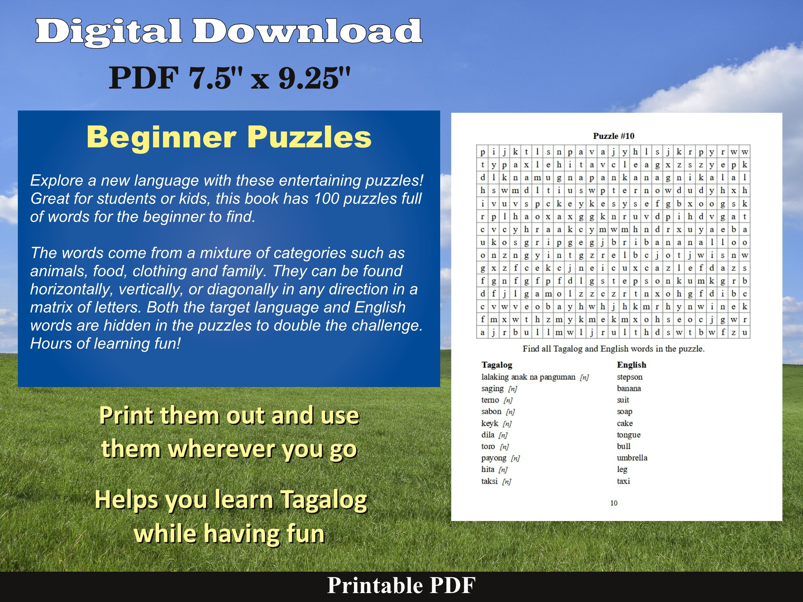 Beginner's Tagalog Ebook Word Searches - Etsy