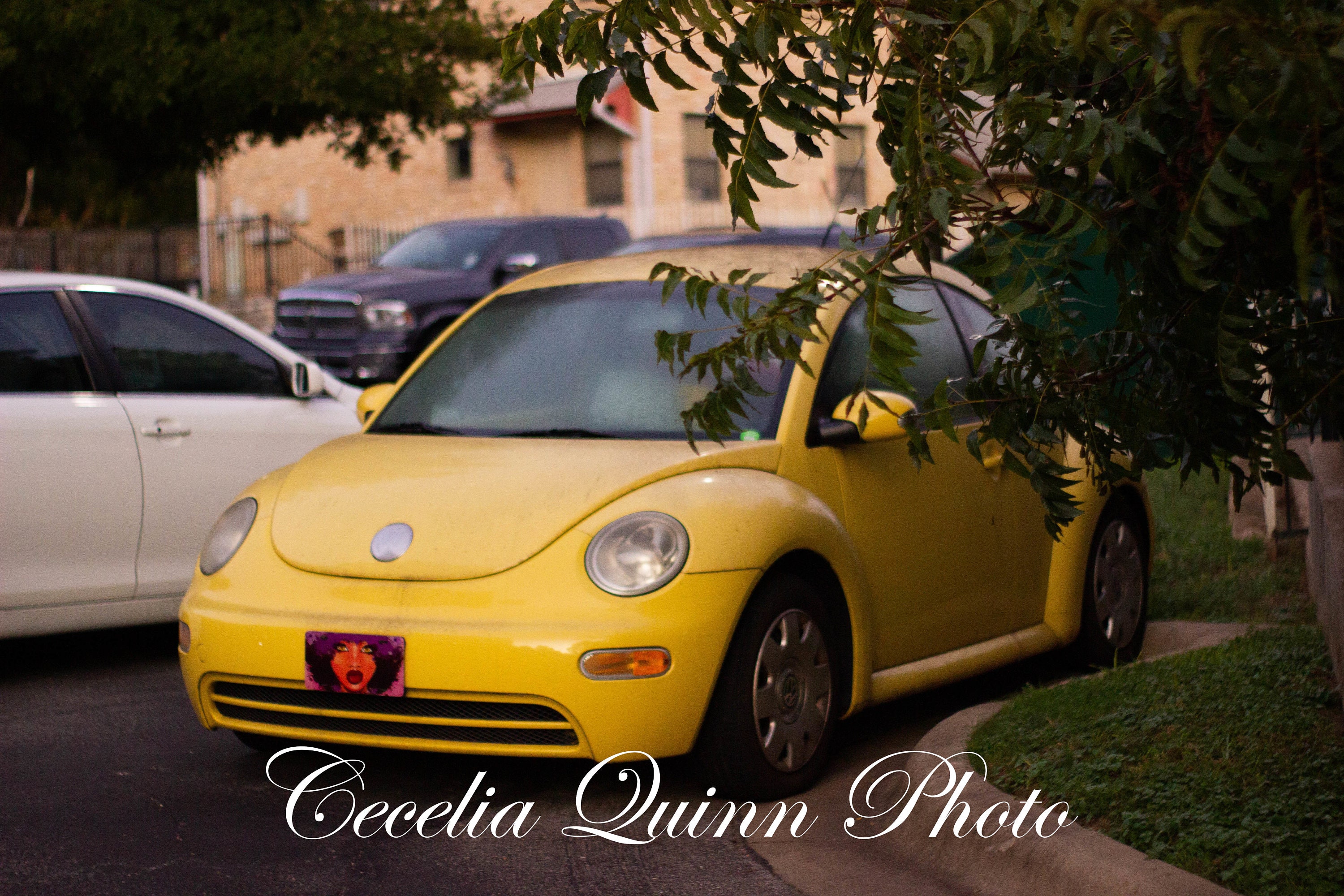 Yellow VW Beetle | Cecelia Quinn Photo - Etsy