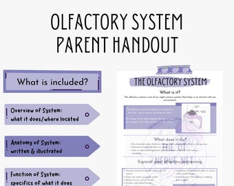 Sensory Processing Parent Handout - Etsy