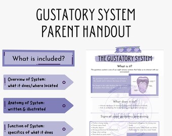 Sensory Processing Parent Handout - Etsy