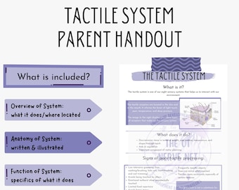 Sensory Processing Parent Handout - Etsy