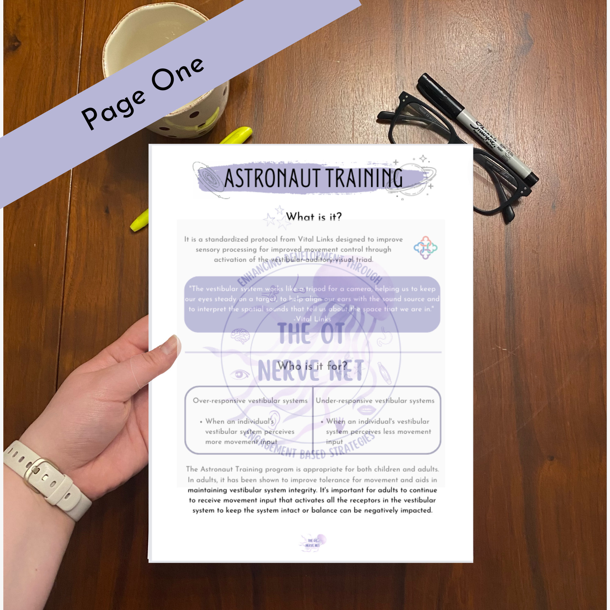 Astronaut Board For Vestibular Input