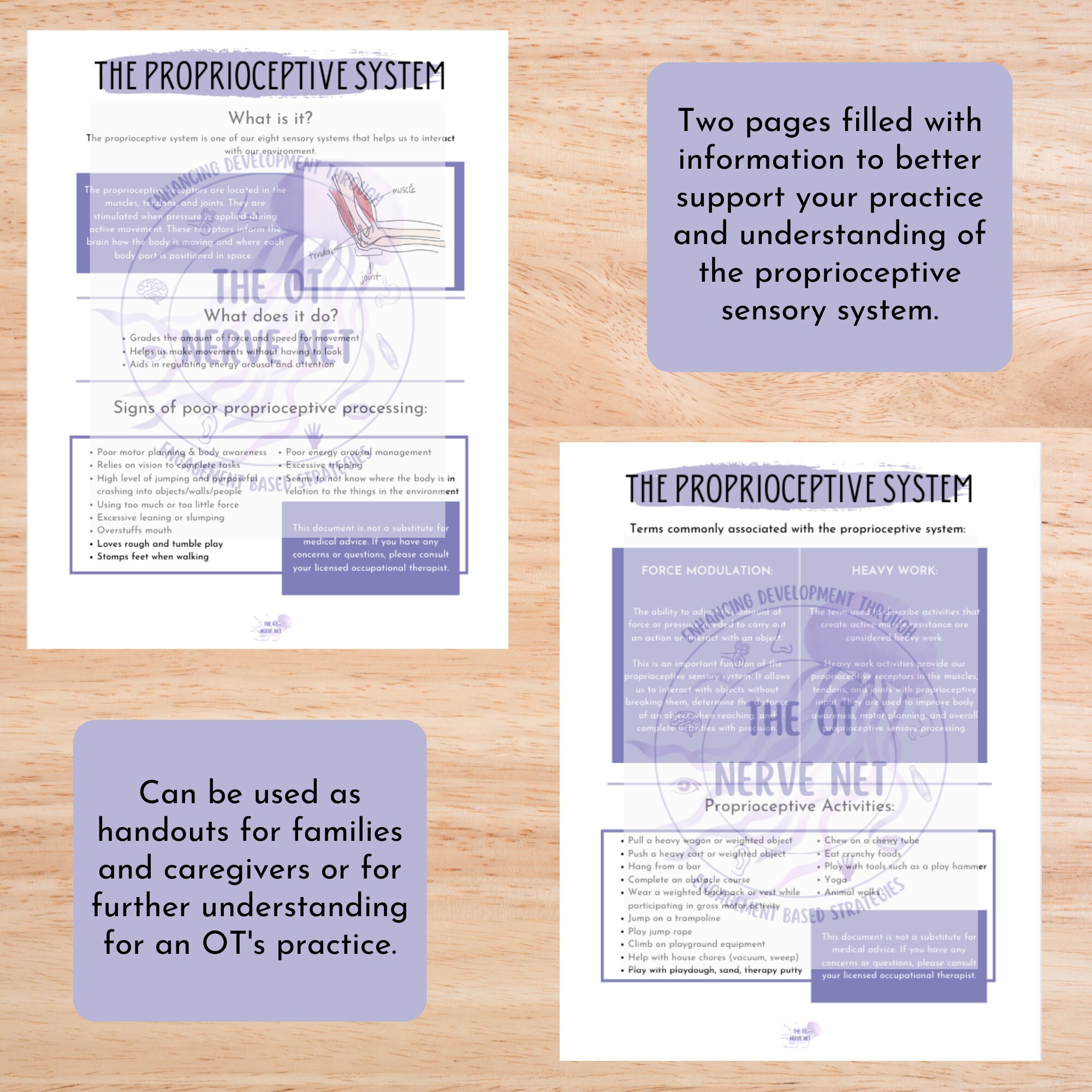 Parent Education Proprioceptive System Occupational Therapy, 43% OFF