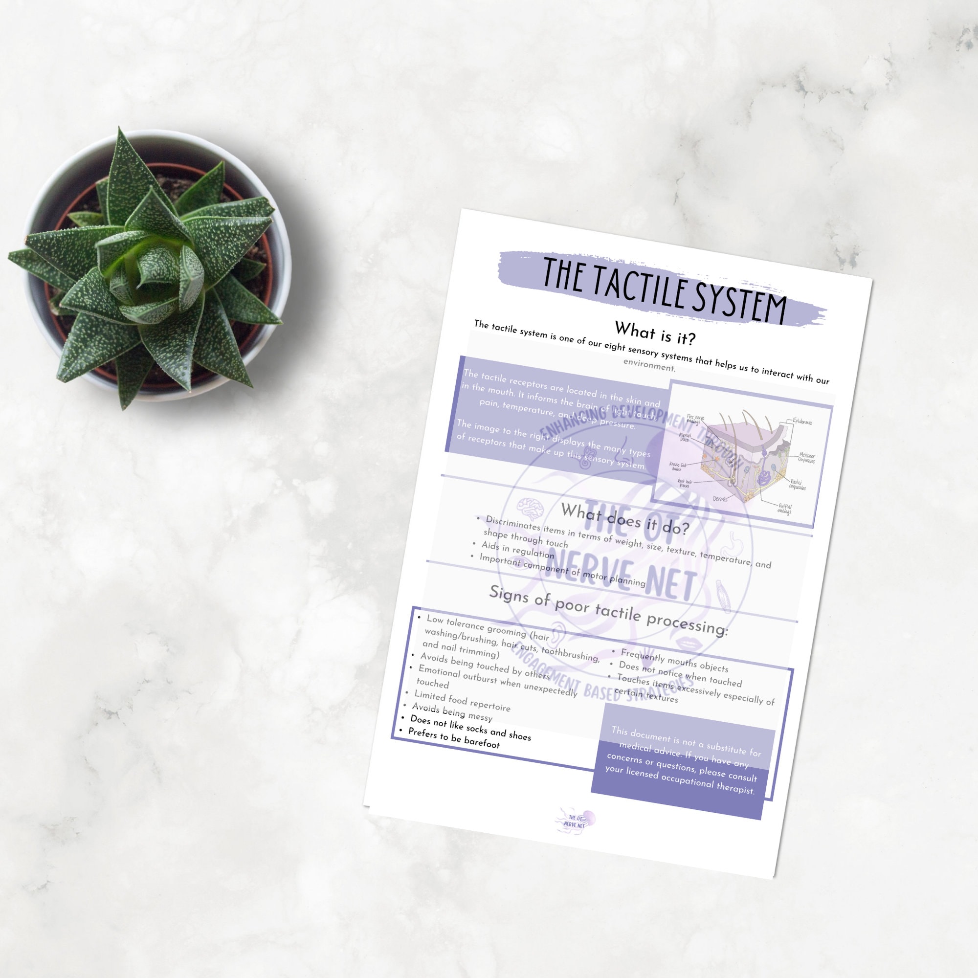 Parent Education | Tactile System | Occupational Therapy | Sensory ...