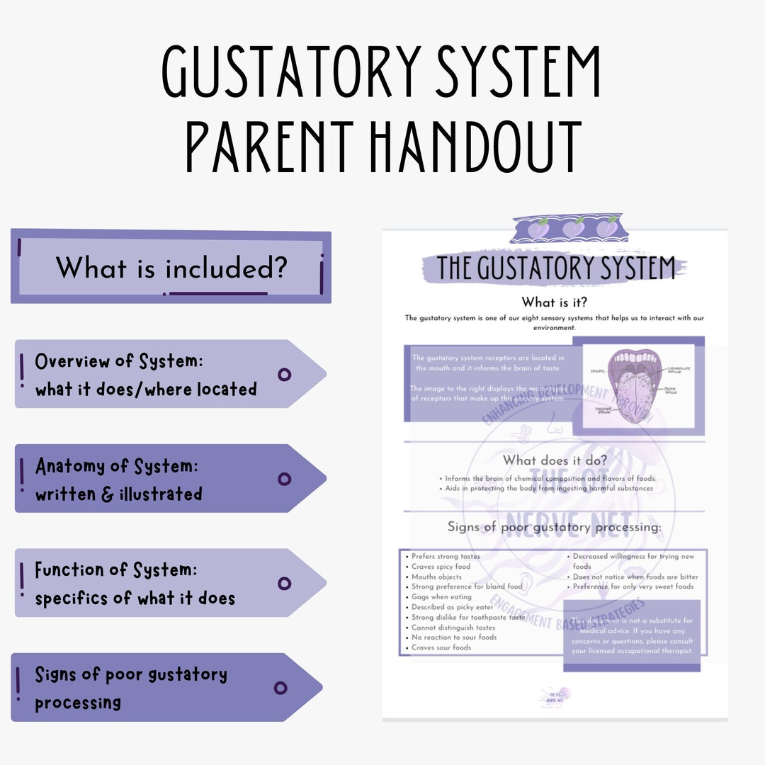 Parent Education | Gustatory System | Occupational Therapy | Sensory ...