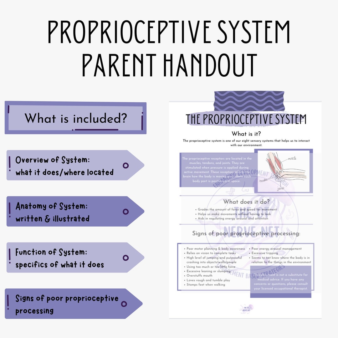 Parent Education | Proprioceptive System | Occupational Therapy ...