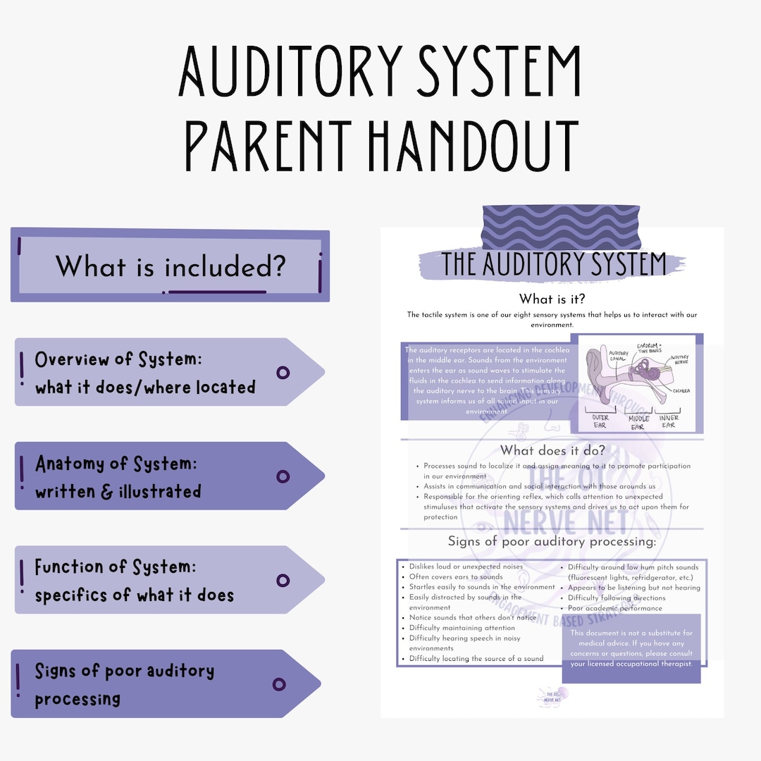 Parent Education | Auditory System | Occupational Therapy | Sensory ...