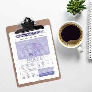 Parent Education | Proprioceptive System | Occupational Therapy ...