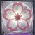 Sakura Flower PC Fan Shroud/ Grill /cover 120mm, 140 Mm - Etsy