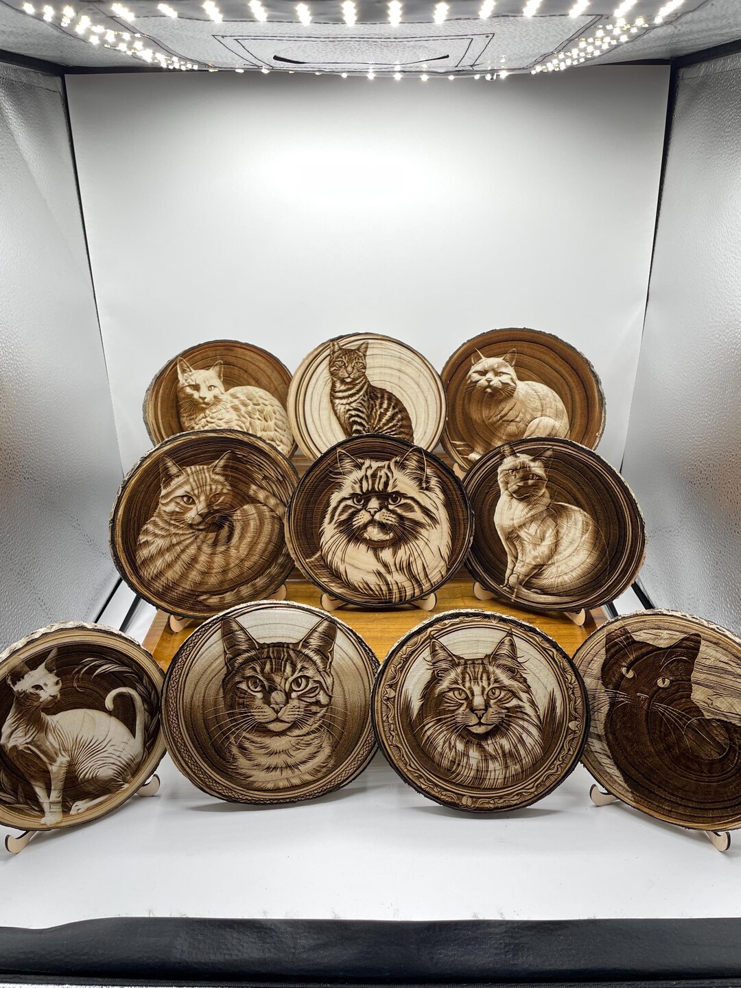Laser Engraved Cats on Wood Rounds ~live Edge Engraved Cats on Wood ...