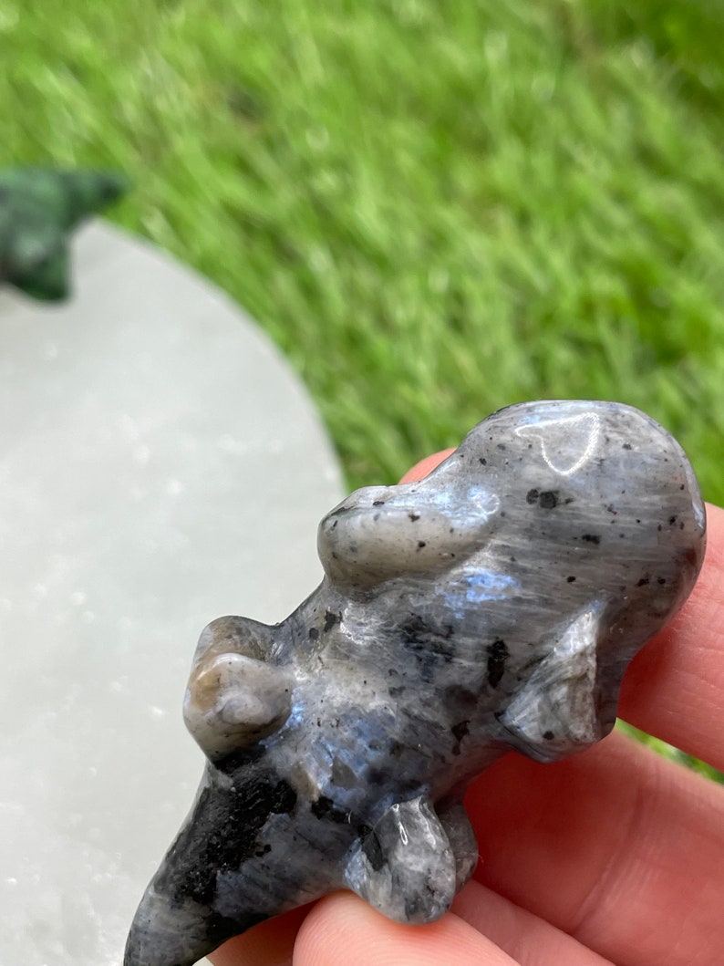 Axolotl Crystal Carved Figures ~ Crystal Carvings ~ Axolotl ~ Cute ...