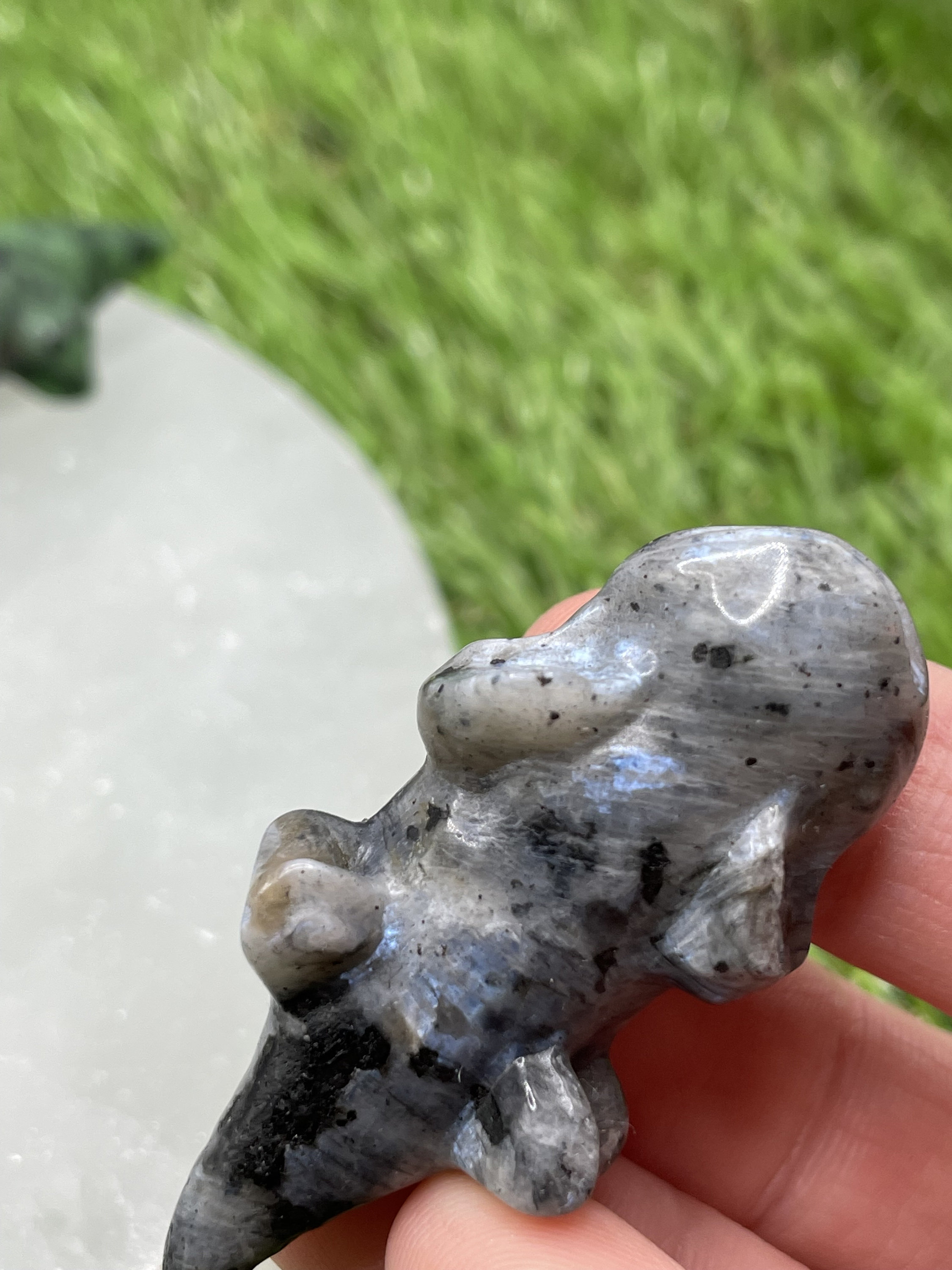 Axolotl Crystal Carved Figures ~ Crystal Carvings ~ Axolotl ~ Cute ...