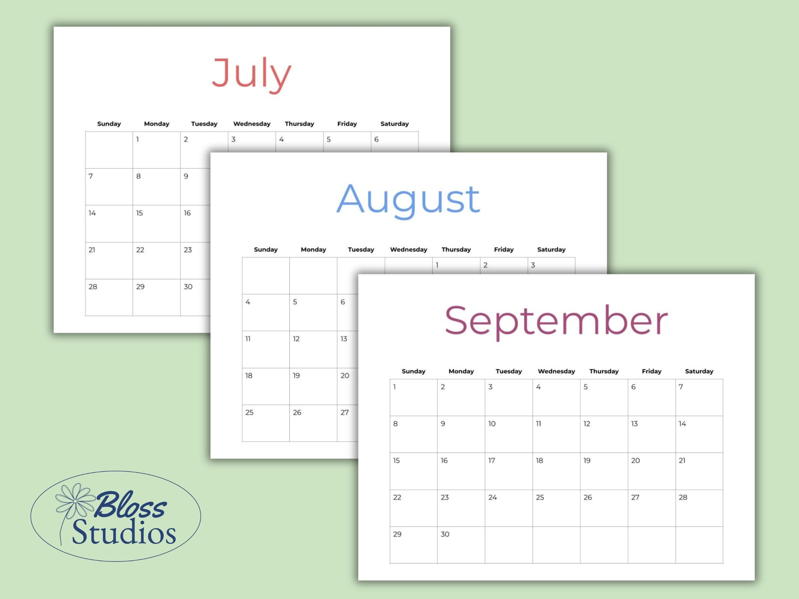 2024 Minimalist Wall Calendar Printable | Office Calendars - Etsy