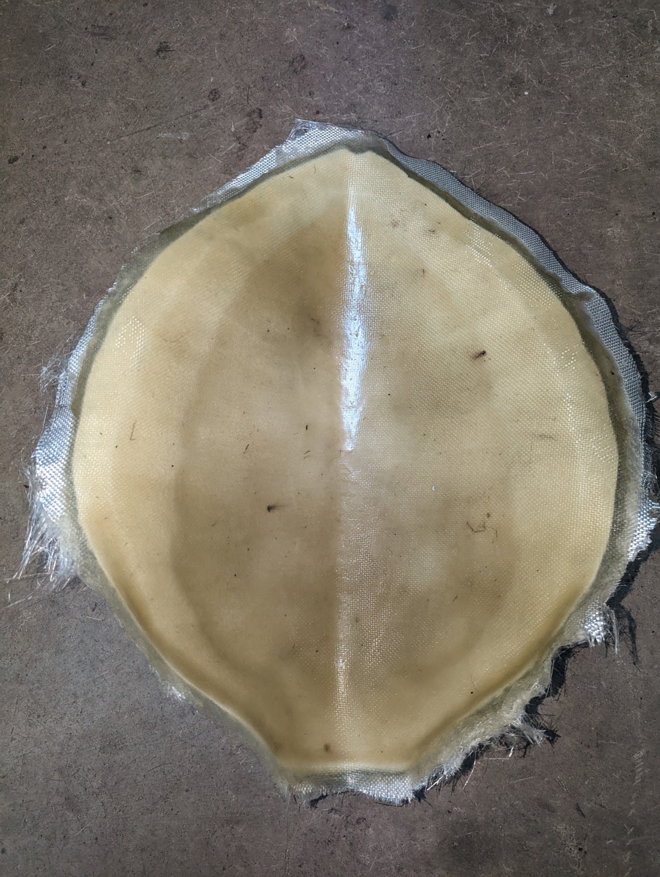 Fiberglass Replica of an Okinawan Giant Green Sea Turtle Shell - Etsy