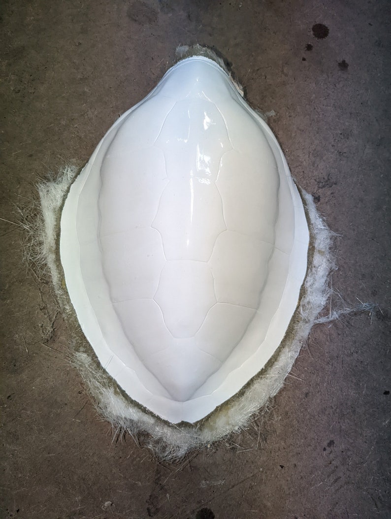 Fiberglass Replica of an Okinawan Giant Green Sea Turtle Shell - Etsy