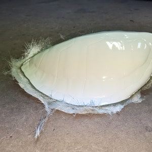 Fiberglass Replica of an Okinawan Giant Green Sea Turtle Shell - Etsy