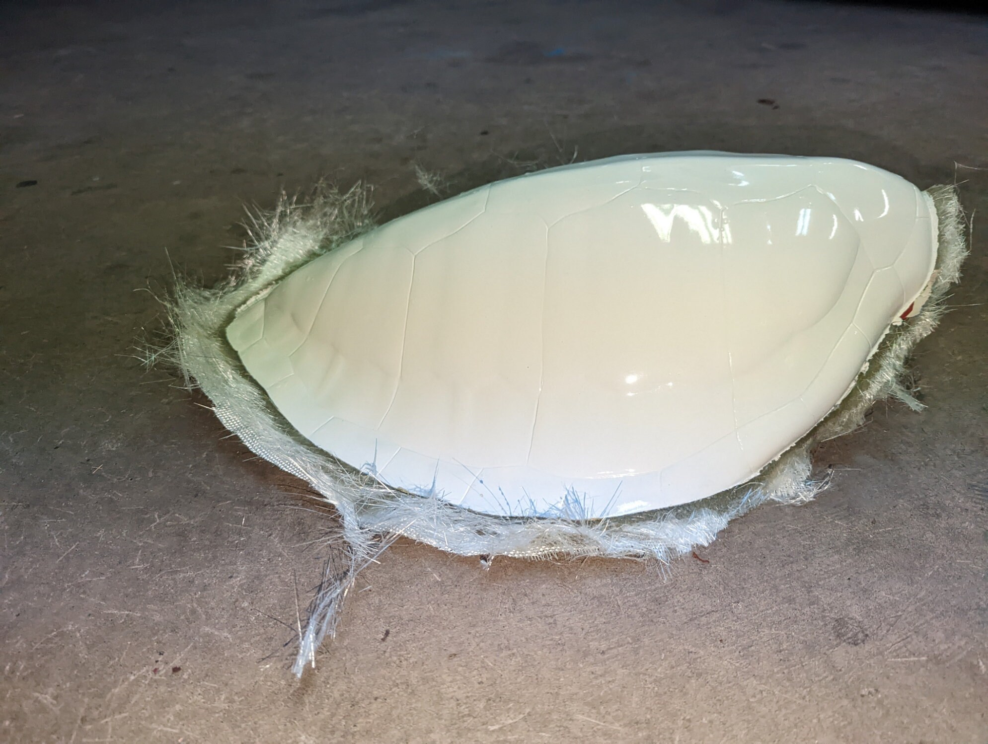 Fiberglass Replica of an Okinawan Giant Green Sea Turtle Shell - Etsy