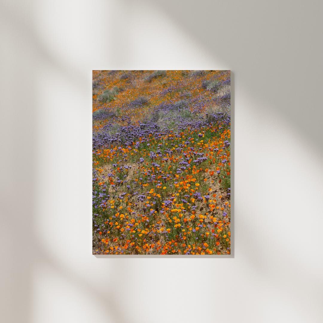 Superbloom Poster | Fine Art Print - Etsy