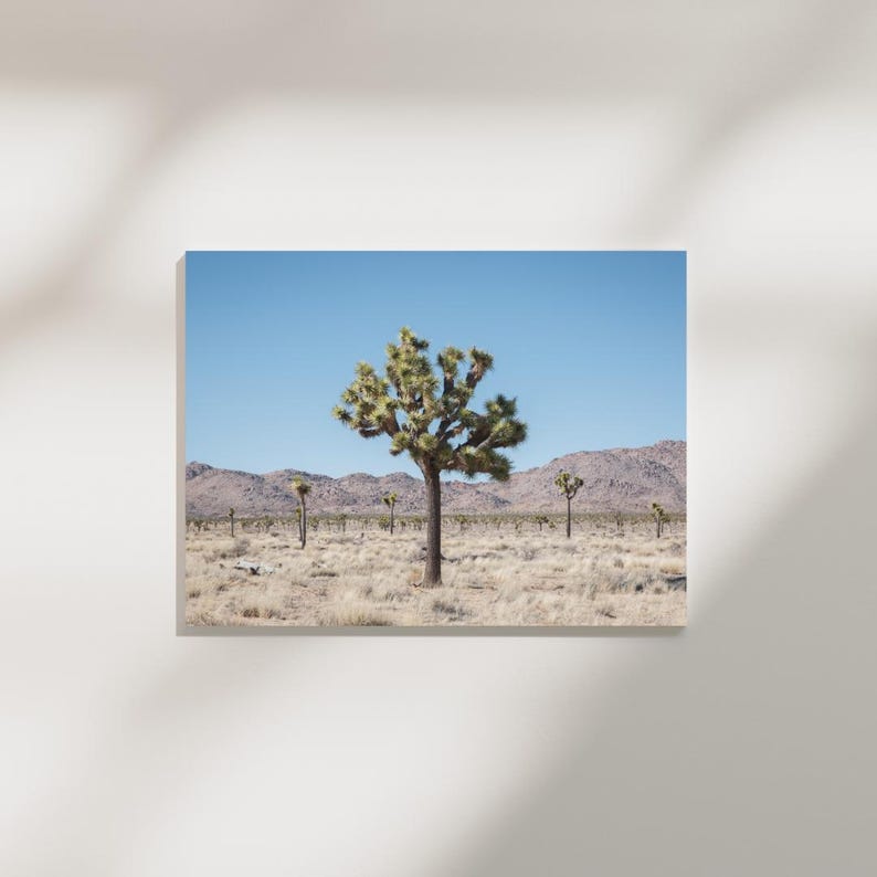 Joshua Tree Poster | Fine Art Print - Etsy