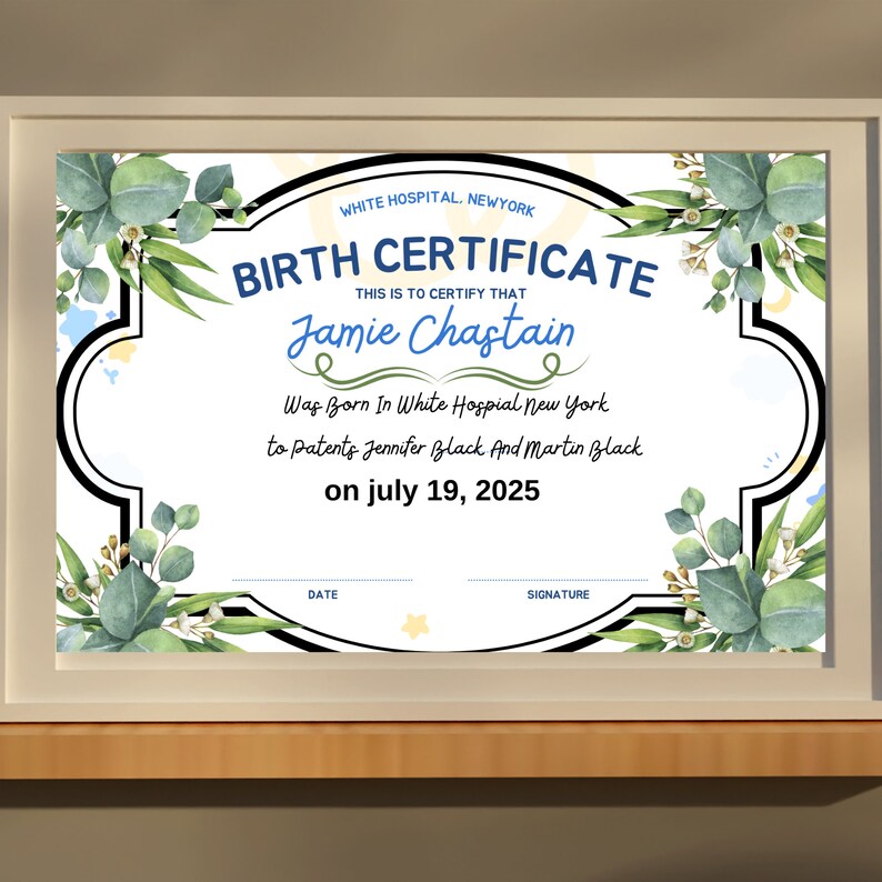Birth Certificate Template, Printable Certificate of Birth, Baby Gift ...