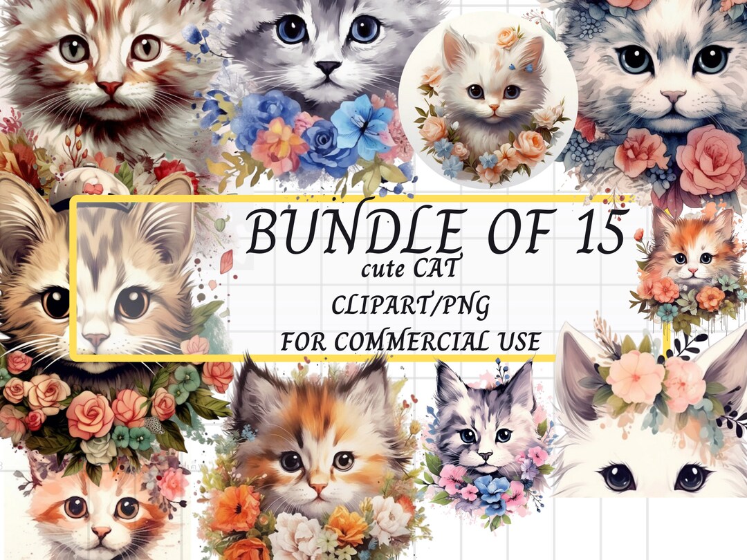 Cat Clipart Bundle, Cat Lovers • Kitten Graphics, Cat Breeds PNG Bundle ...