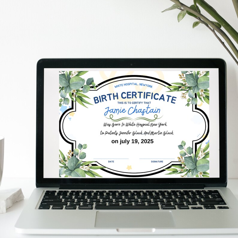 Birth Certificate Template, Printable Certificate of Birth, Baby Gift ...