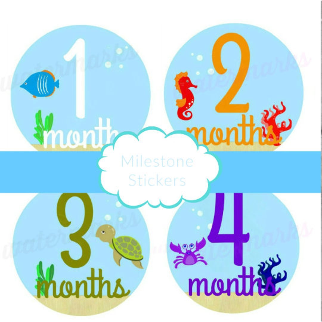 Printable Monthly Baby Stickers, Monthly Milestones, Baby Shower, Boy ...