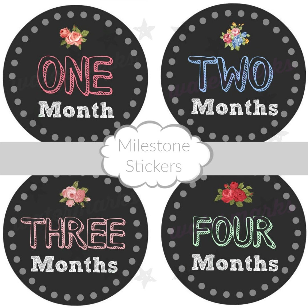 Printable Monthly Baby Stickers, Girl Monthly Milestone Stickers ...