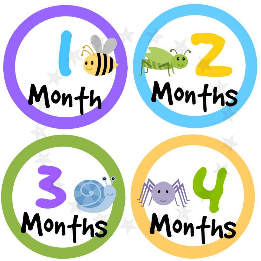 Monthly Baby Stickers, Printable Monthly Milestones, Baby Shower, Baby ...