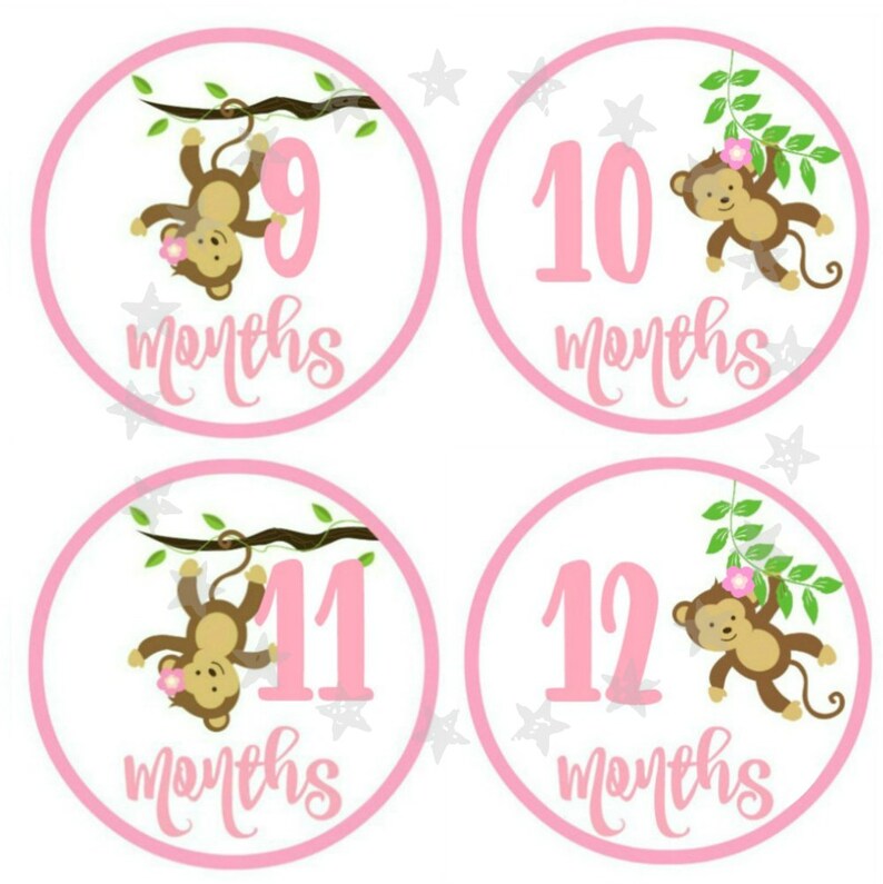 Monthly Baby Stickers, Printable Monthly Milestones, Monkey Baby Shower ...