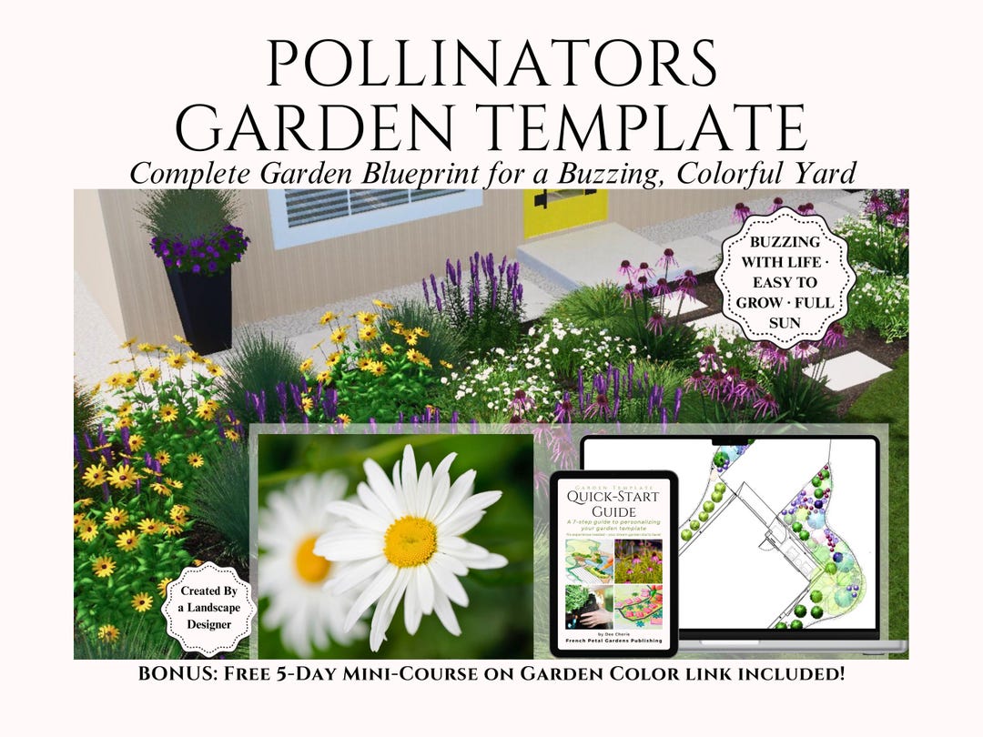 Pollinator Garden Design for Zone 6–7 With Native Wildflowers | Low ...