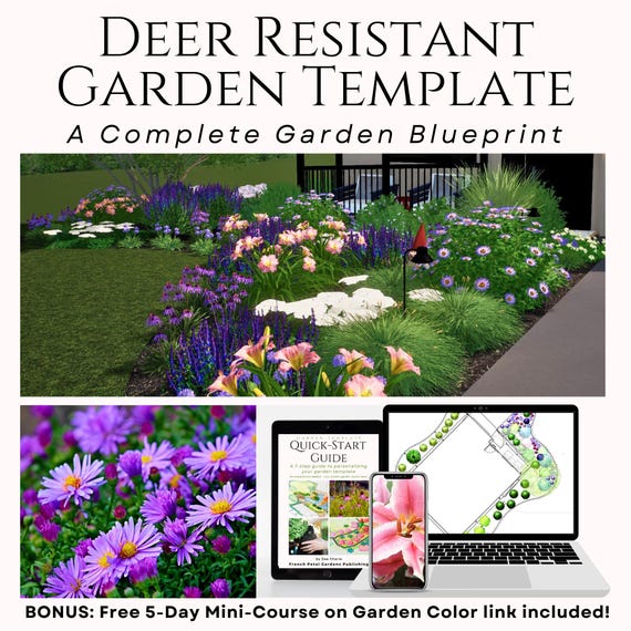 Perennials Deer Resistant Garden Plan EZ Scapes™ Deer Resistant