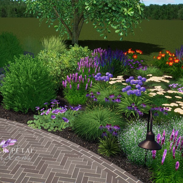 Landscape Design Plan Full Sun - Etsy