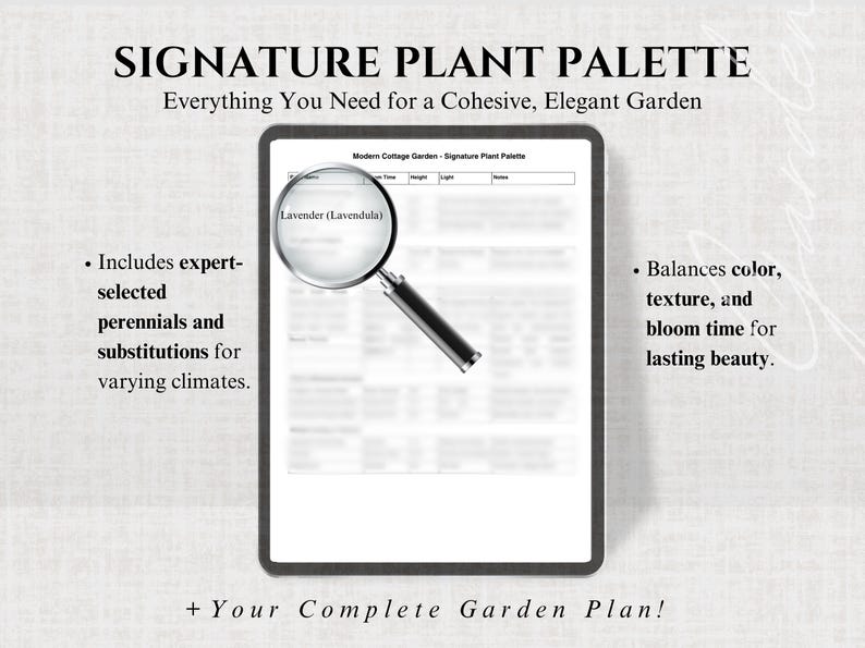 Structured Garden Design Plan With Boxwood and Perennials Full Sun ...