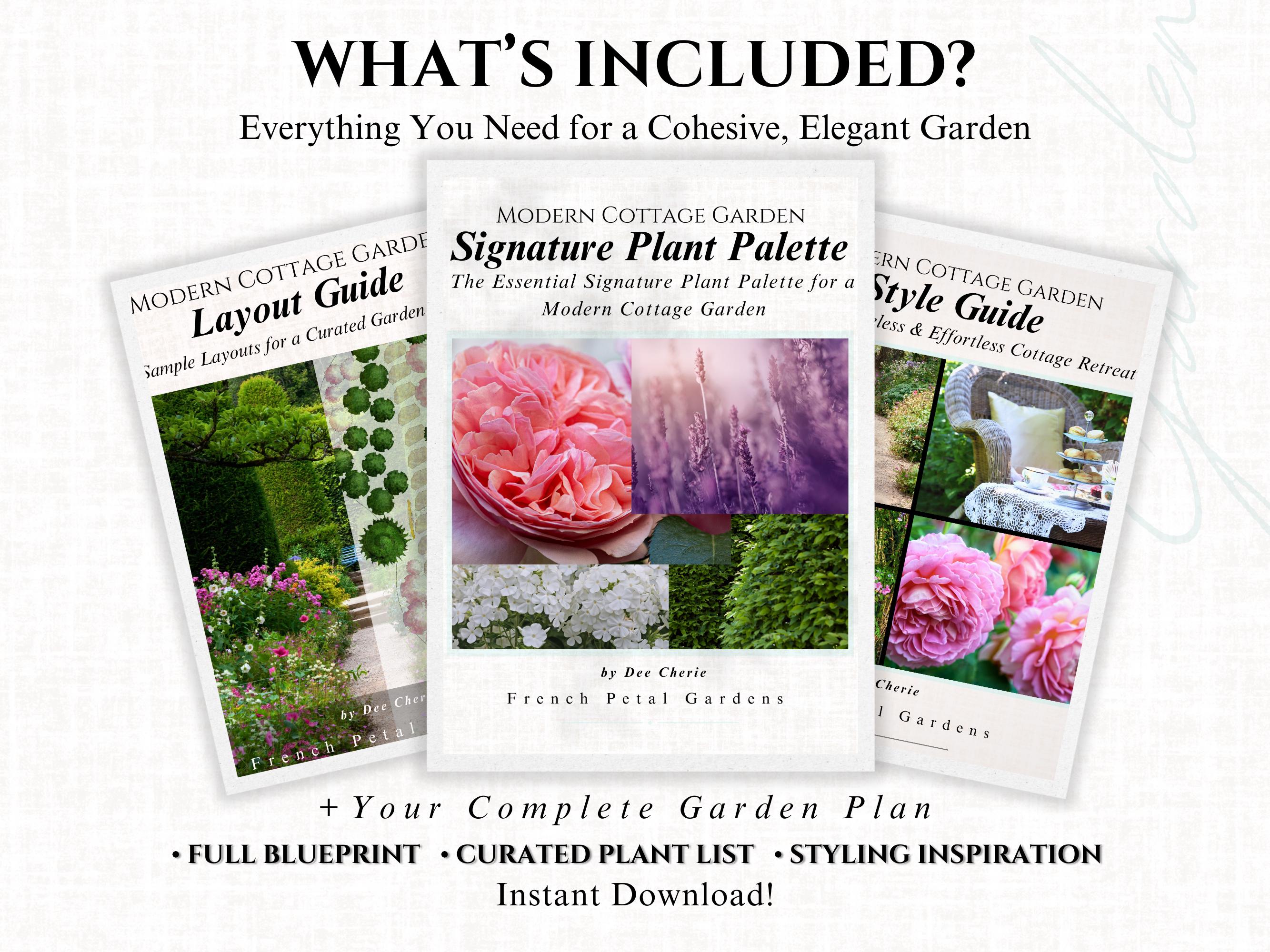 Structured Garden Design Plan With Boxwood and Perennials Full Sun ...