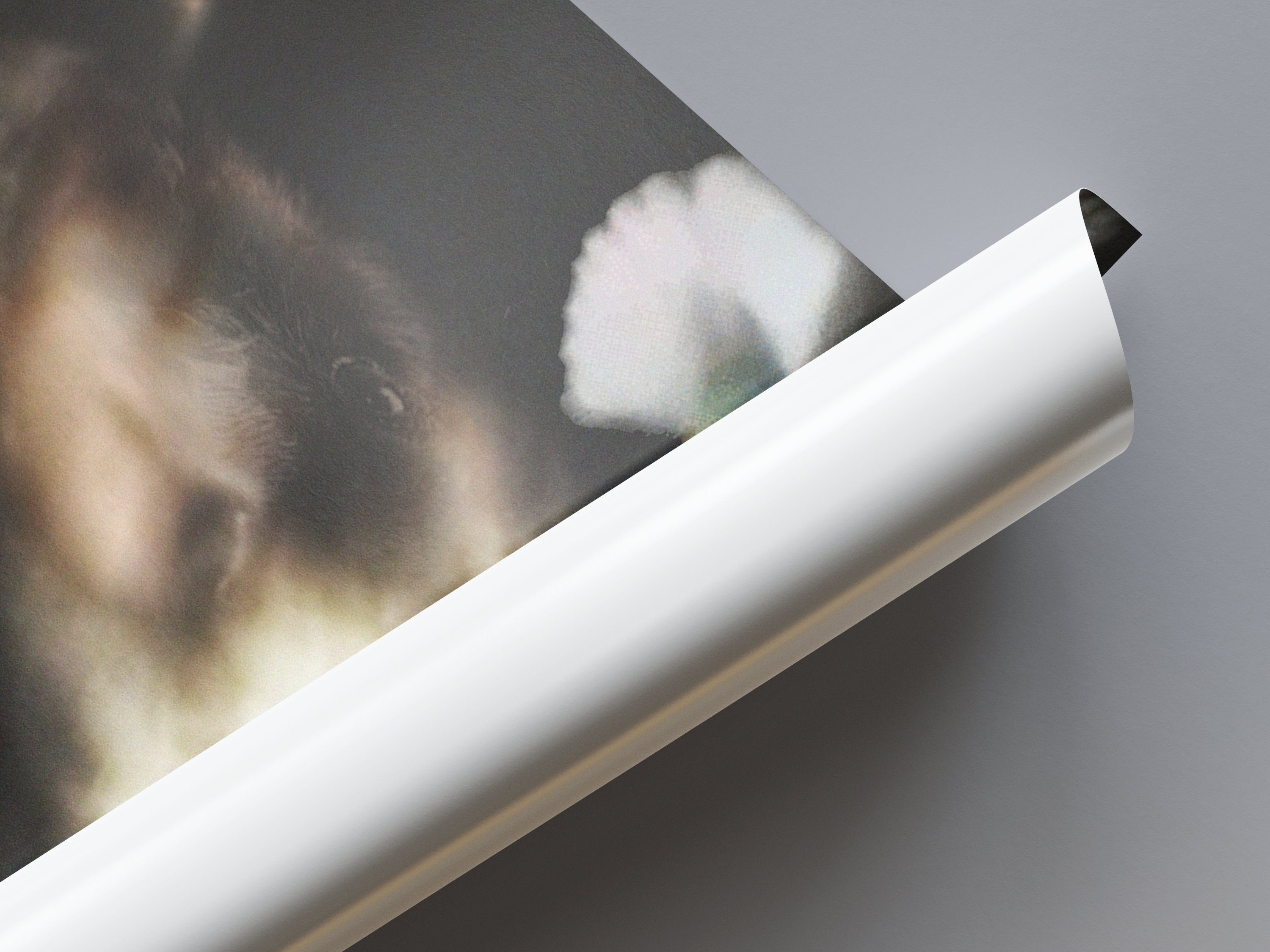 Black Kray // SICKBOYRARI City of Crows Poster - Etsy