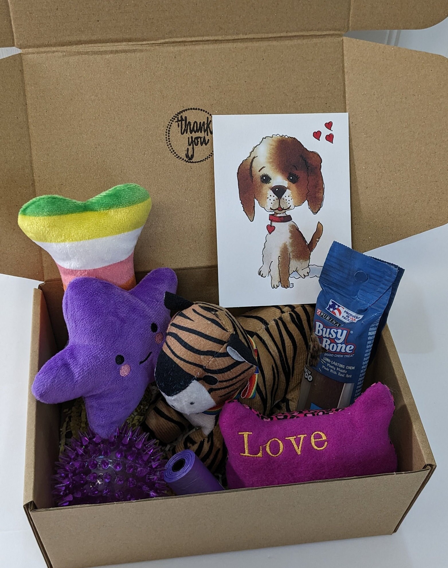 New Puppy Gift Box, Rainbow Puppy Gift Box , Adoption Puppy Gift Box ...
