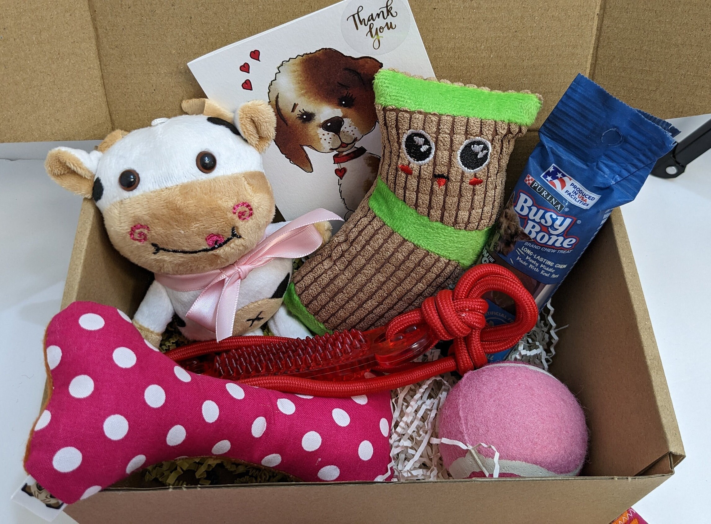 Puppy Box Gift, Dog Boy Gift,dog Male Gift, Small Puppy Box Gift, Puppy ...