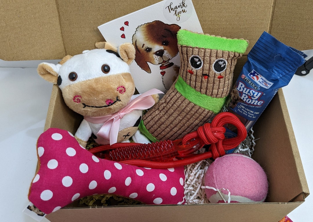 Puppy Box Gift, Dog Boy Gift,dog Male Gift, Small Puppy Box Gift, Puppy ...