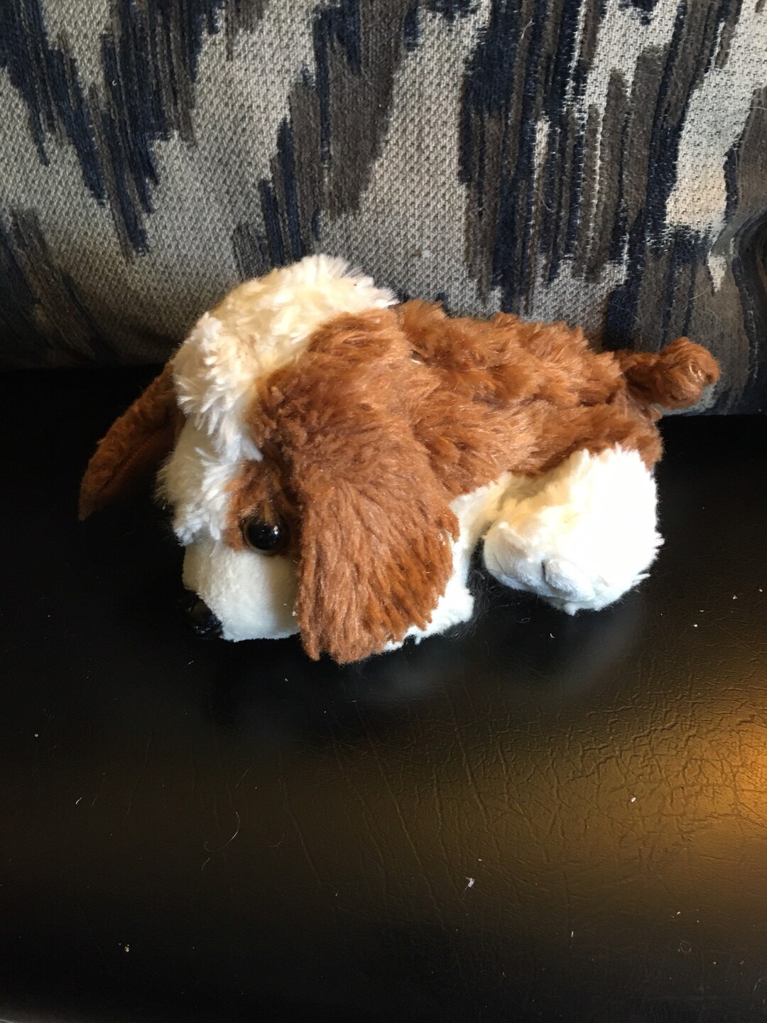 Brown and White Pet Puppy. One of a Kind, Unique Fluff Ball. He Will Be ...