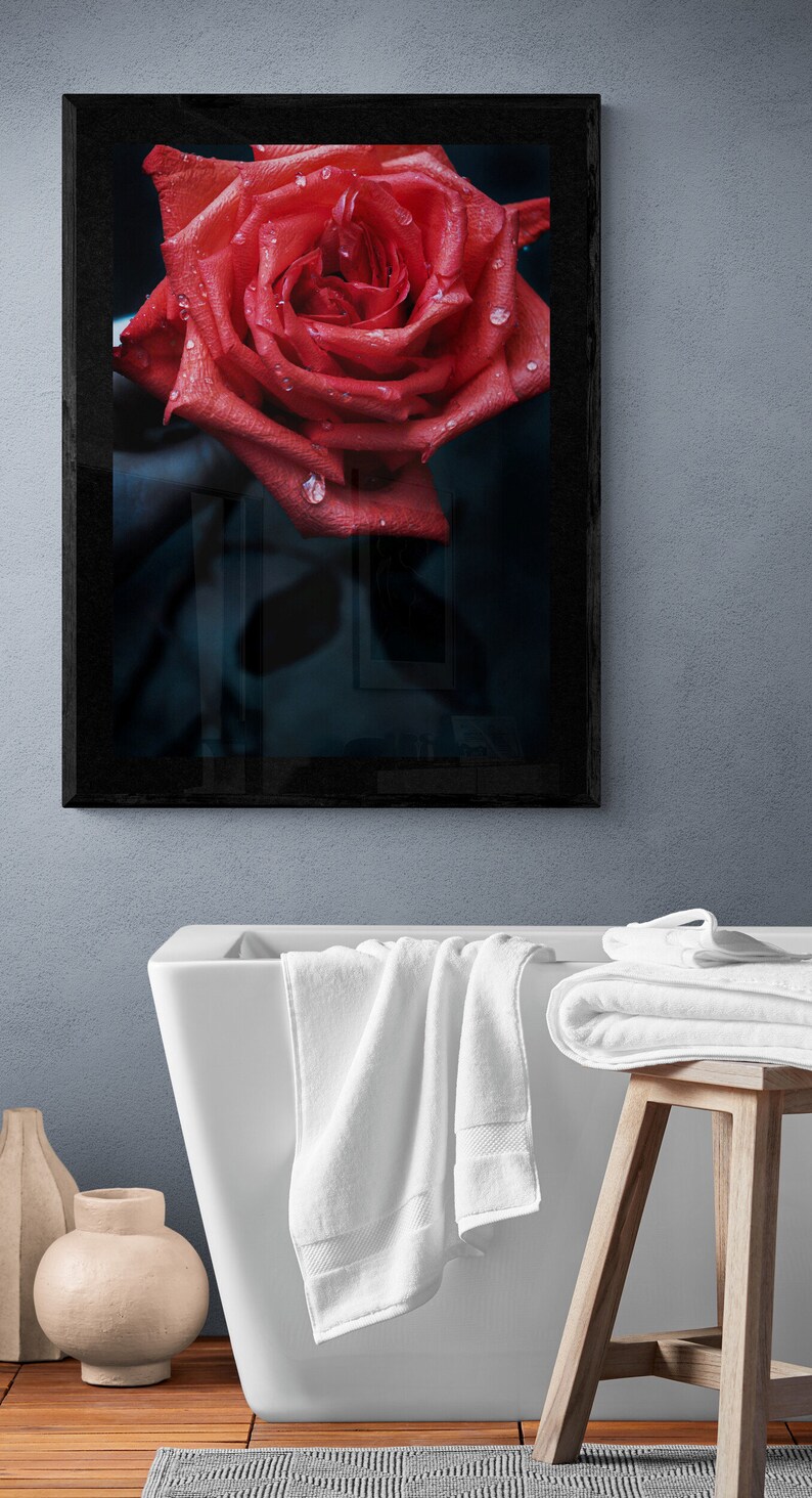 Red Rose Printable Digital Art Download | Original Digital Photography ...