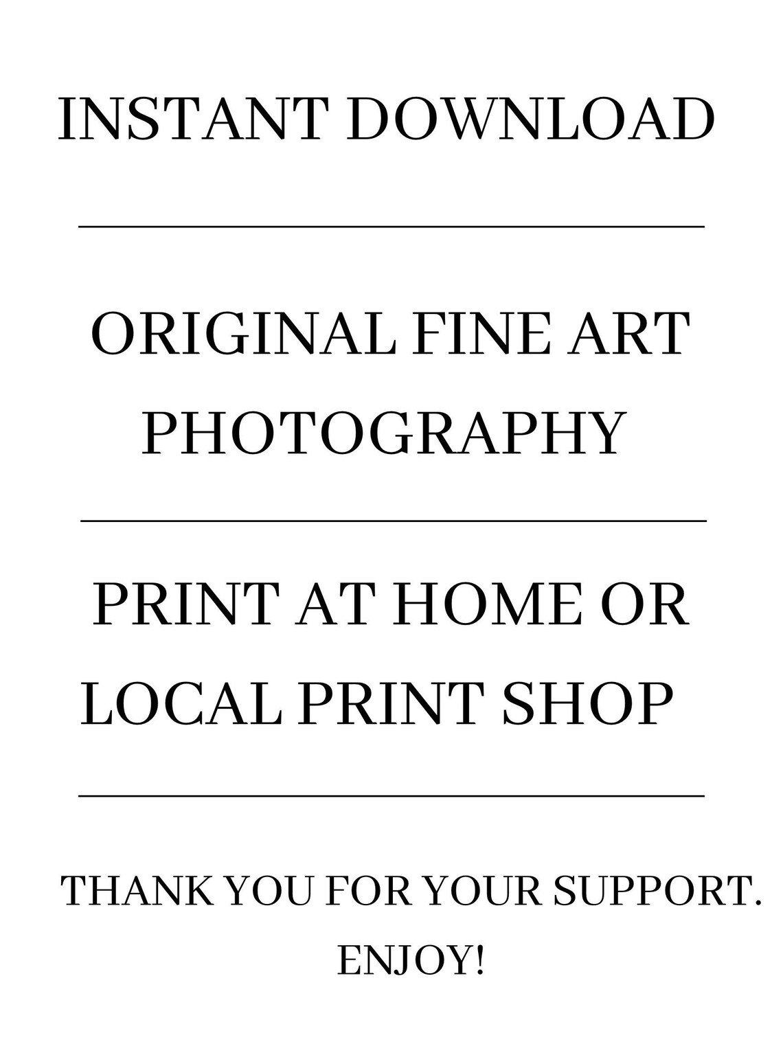 Red Rose Printable Digital Art Download | Original Digital Photography ...