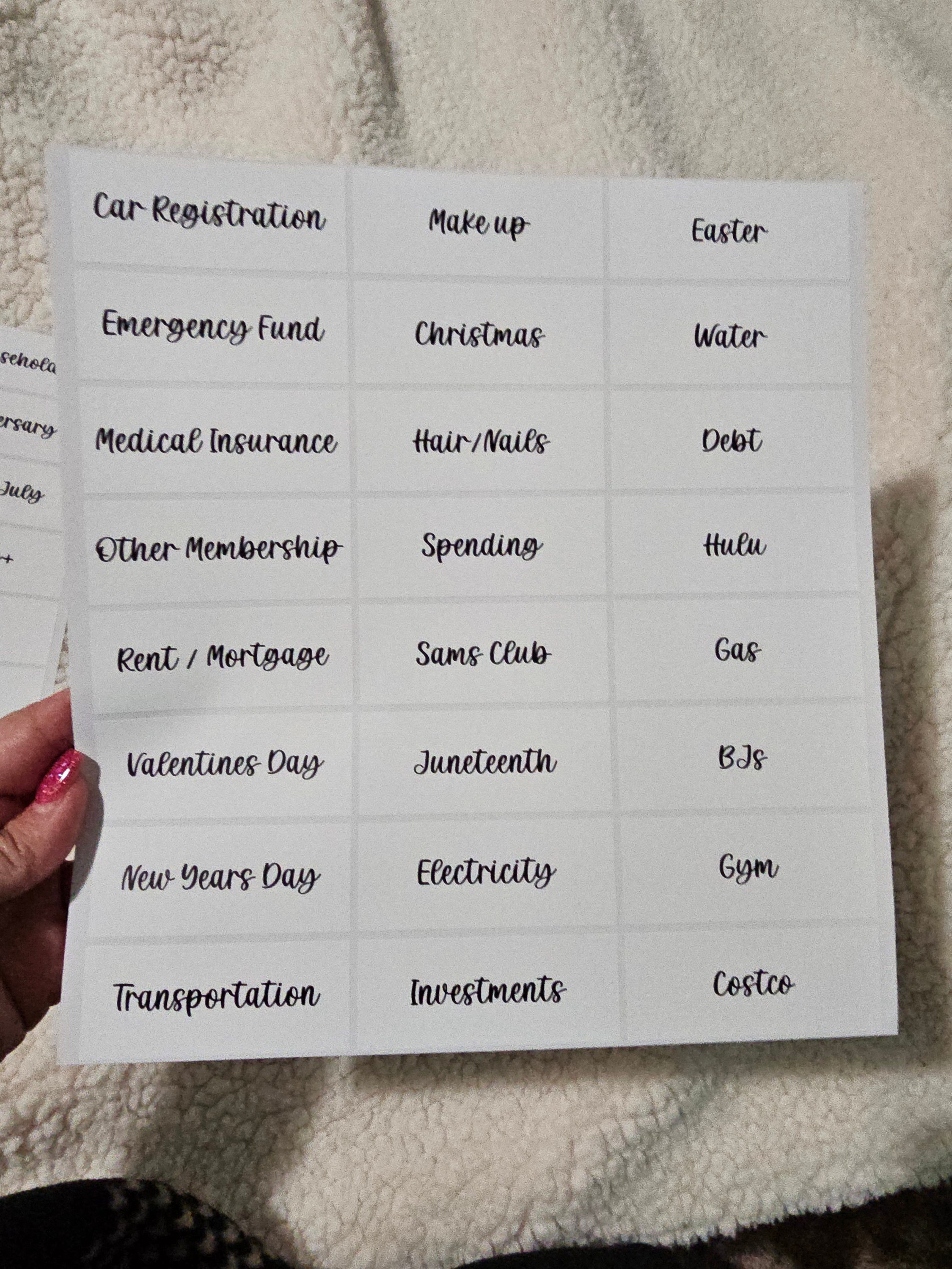 Cash Envelope Stickers, Preprinted 48 Budget Categories for Cash ...