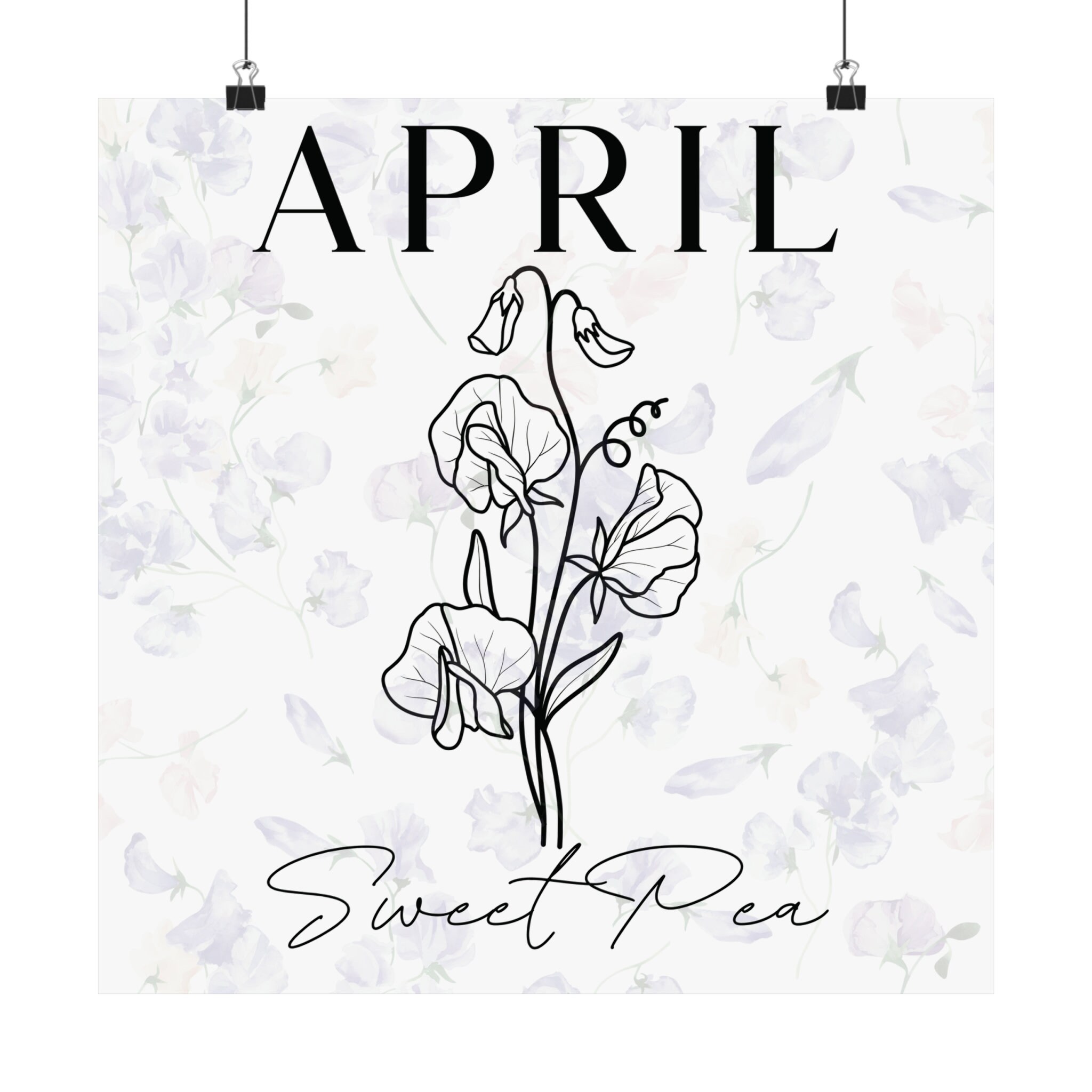 April Birth Flower, Sweet Pea Wall Art, Matte Poster, Multiple Sizes - Etsy