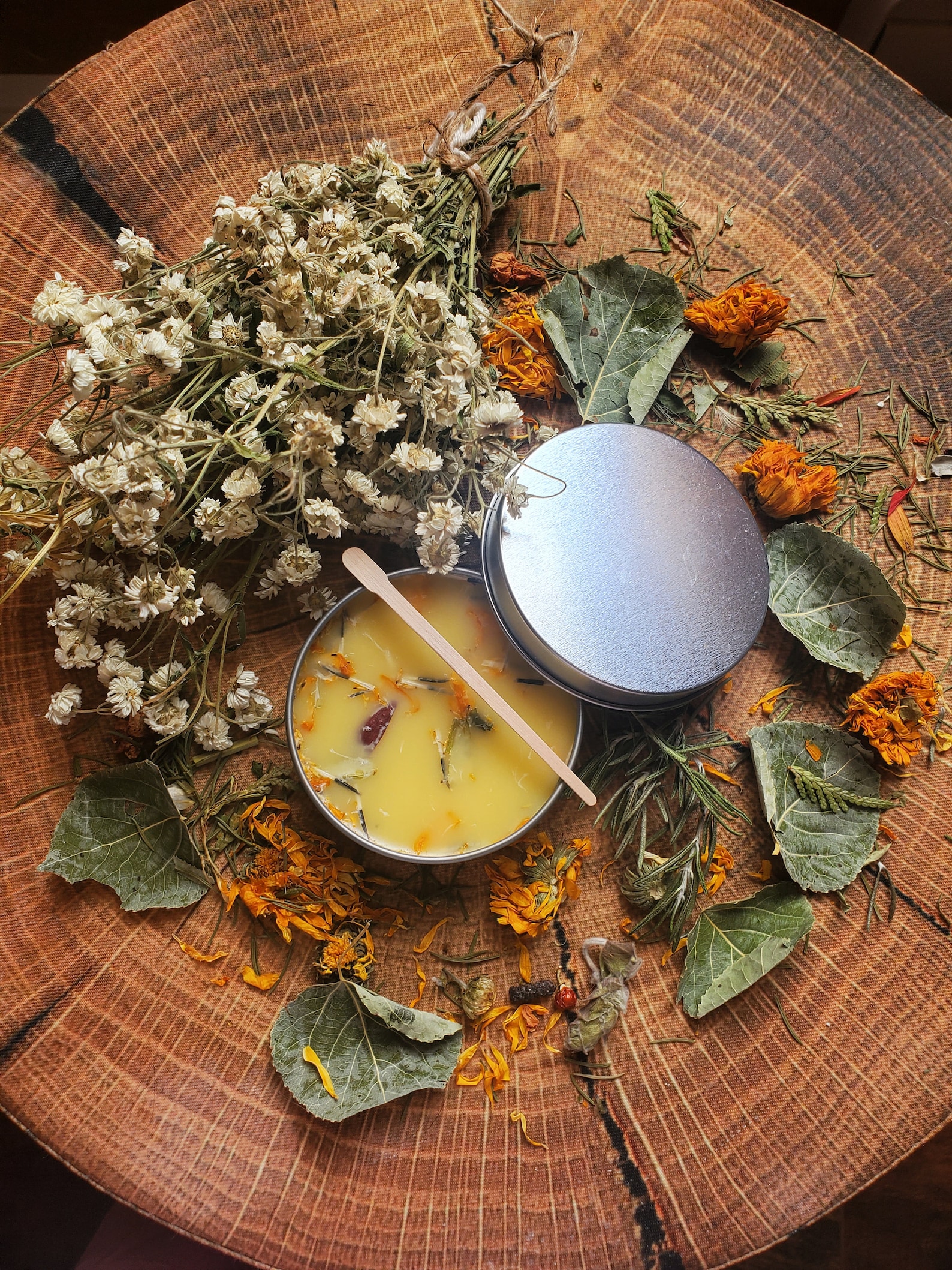 Organic Balsam Fir Salve, All-natural Handmade, Pine Balm, Gold Healing ...