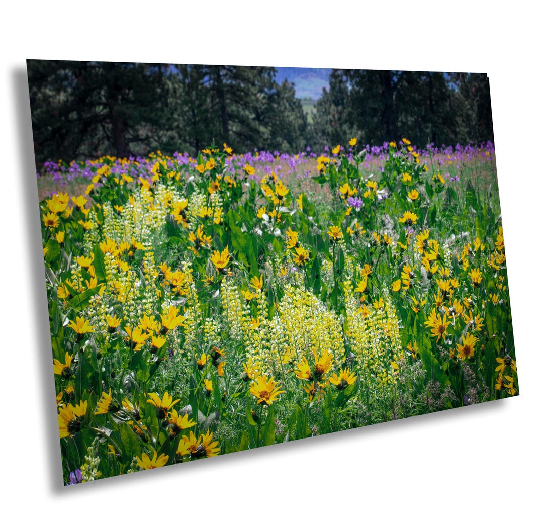 Oregon Wildflower Field Art Print: Mountain Landscape Decor - Etsy