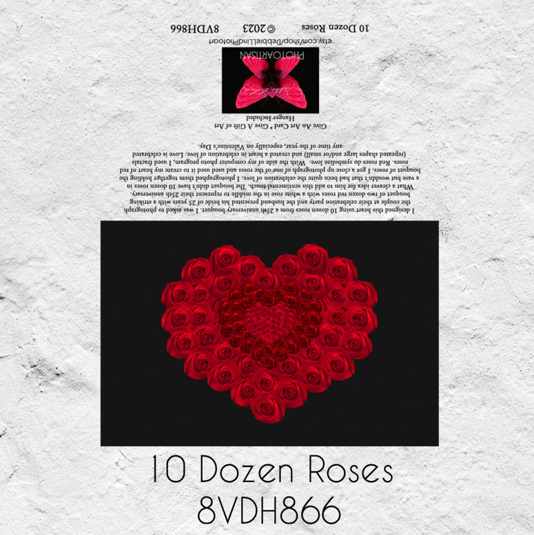 Blank Greeting Card 81/2x51/2 Inches Card Photo, 10 Dozen Roses, Red ...