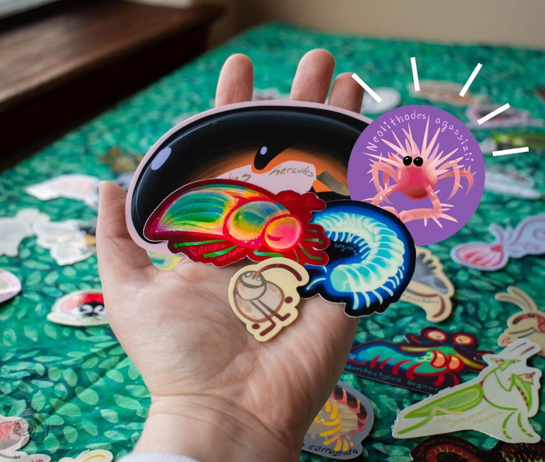 Cartoon Bug Stickers/magnets of 150+ Species! Insects, Spiders, Isopods, Millipedes, and More ...