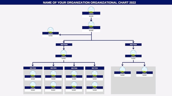 Formal Organization Structure