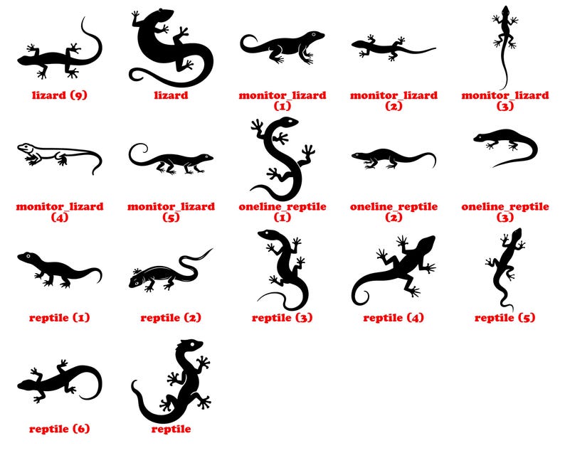 Lizard Line Art SVG Bundle, Reptile Outline Designs (digital Download ...